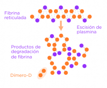 ¿Qué es el Dímero D? Todo lo que debes saber aquí.